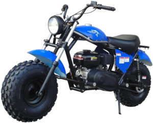 Trailmaster Powersports Website – ATV, Mini Dirt Bikes, Go Karts